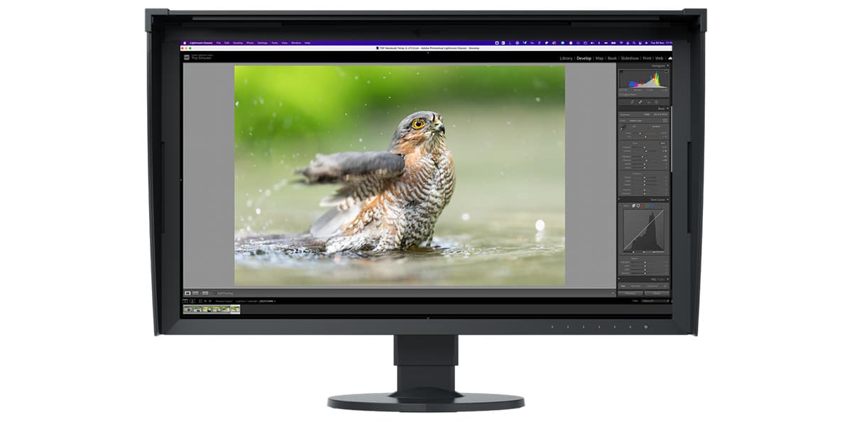 Monitoren voor fotobewerking | Praktische tips om op te letten bij aanschaf