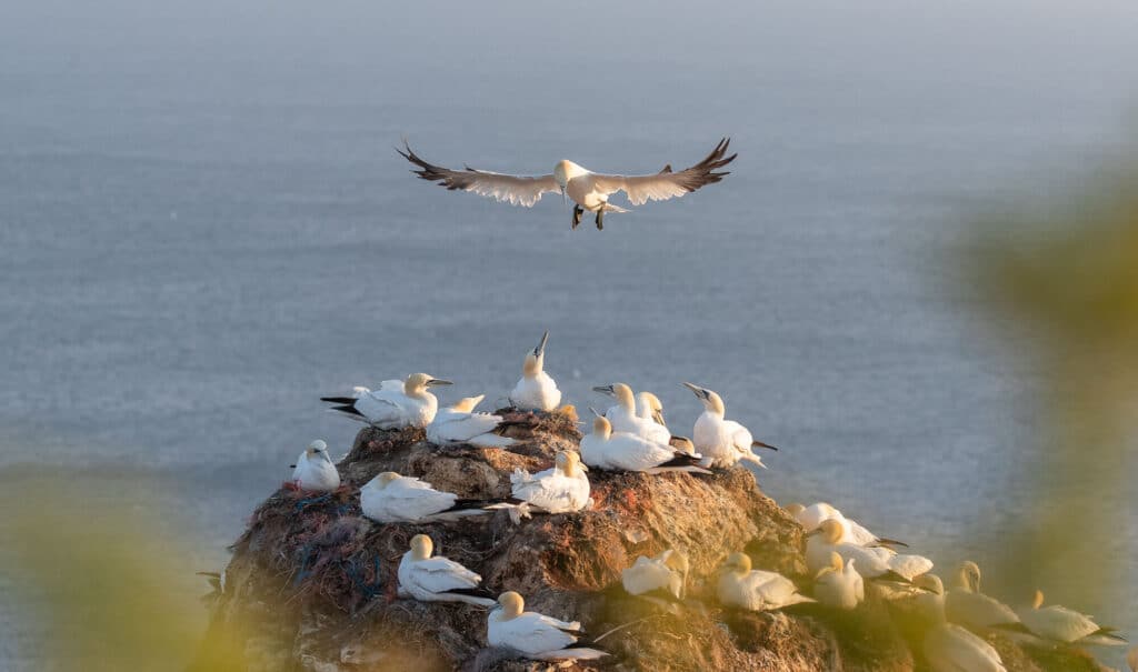 Welke lens neem ik mee op vakantie | de beste lenzen voor op reis