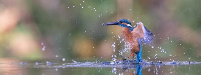 Ruis uit je foto’s verwijderen | tips & tricks!