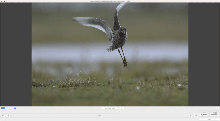 Canon EOS R6 mark II systeemcamera review met voorbeeldfoto's