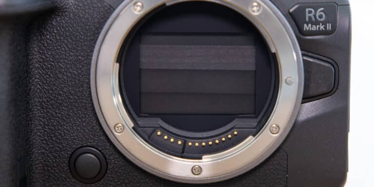 Canon EOS R6 mark II systeemcamera review met voorbeeldfoto's