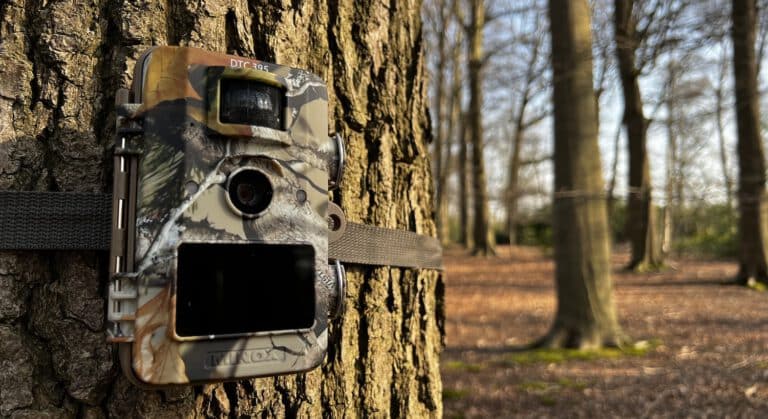 Beste wildcamera 2025 | een overzicht met de beste wildcamera's