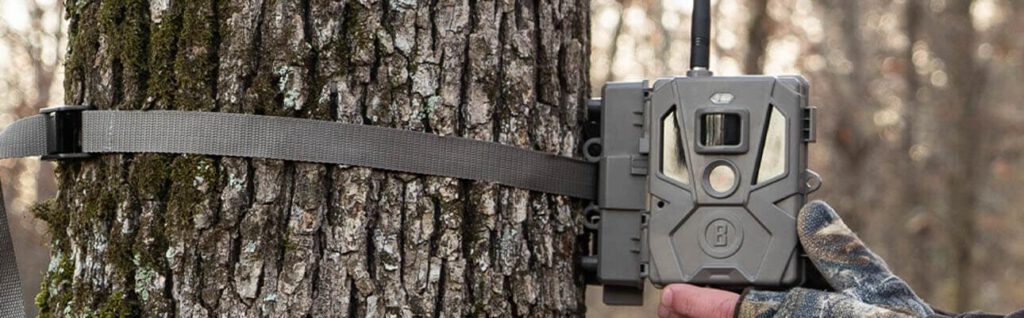 Beste wildcamera 2025 | een overzicht met de beste wildcamera's