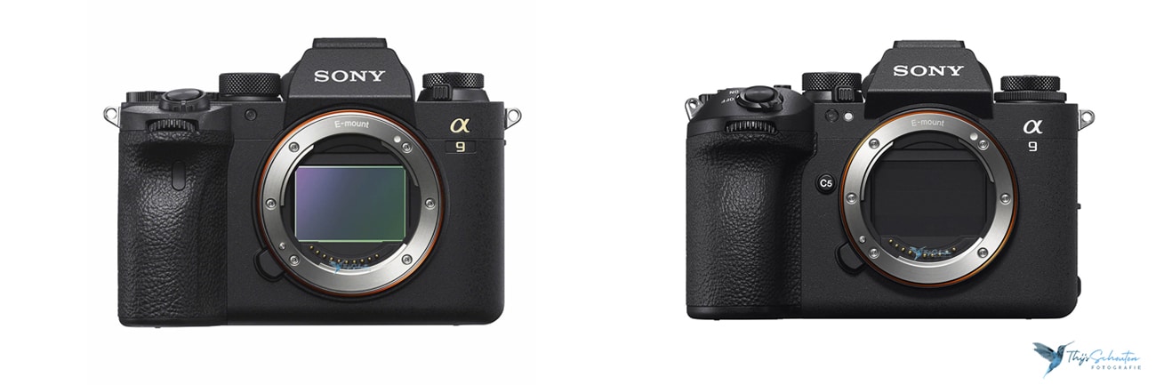 Wat is het verschil tussen de Sony A9 II en de Sony A9 III uitgelegd