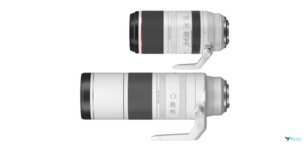 Canon RF 100-500mm vs de Canon RF 200-800mm
