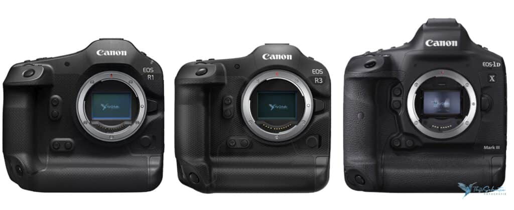 Verschillen tussen de Canon EOS R1, R3 en de 1Dx mark III