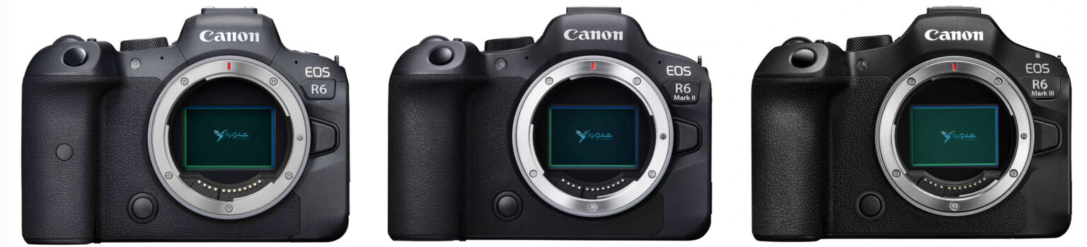 Canon EOS R6 Mark II vs R6 Mark III: alle verschillen op een rijtje